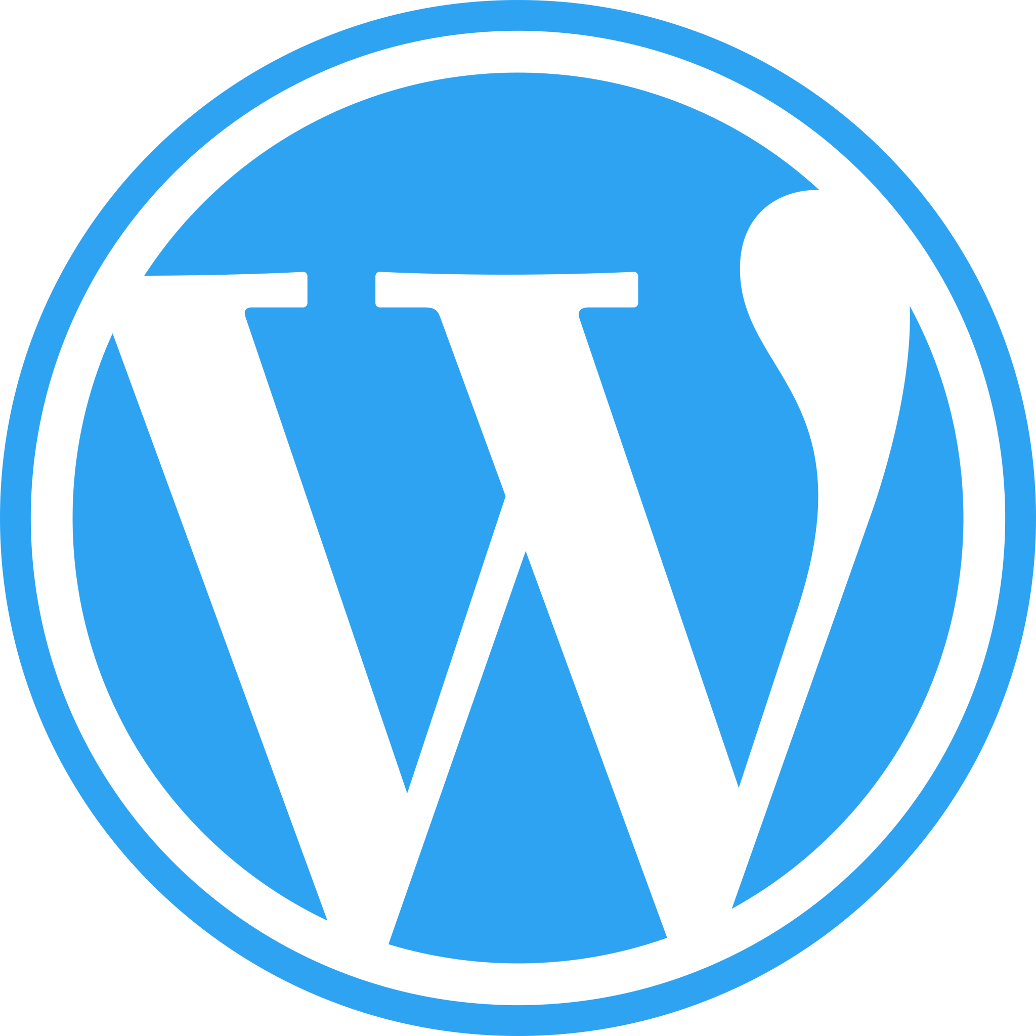 wordpress-logo-min - iVendo Marketing Groningen